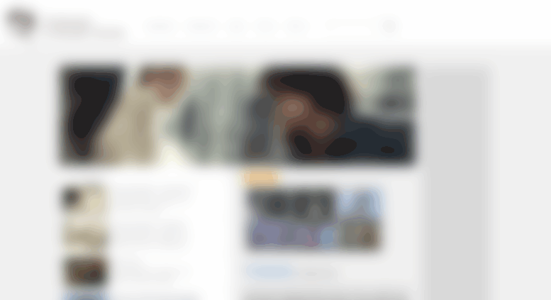 Access themiscollection.com. ThemisCollection