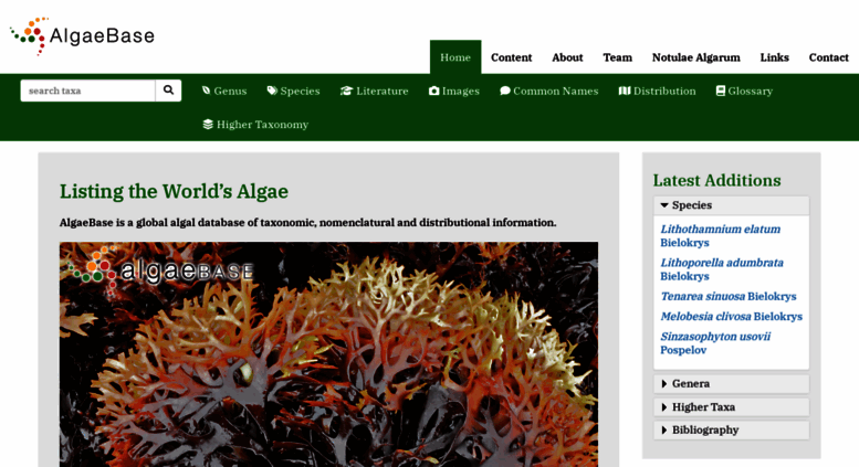 Access algaebase.org. Algaebase :: Listing the World's Algae