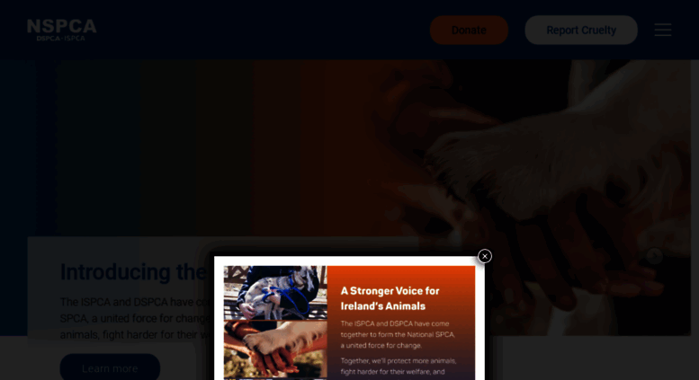 Access ispca.ie. ISPCA Ireland - Irish SPCA - Animal Charity - Rescue ...