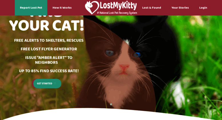 Access lostmykitty.com. Lost My Kitty - Our Lost Cat Locating Service ...