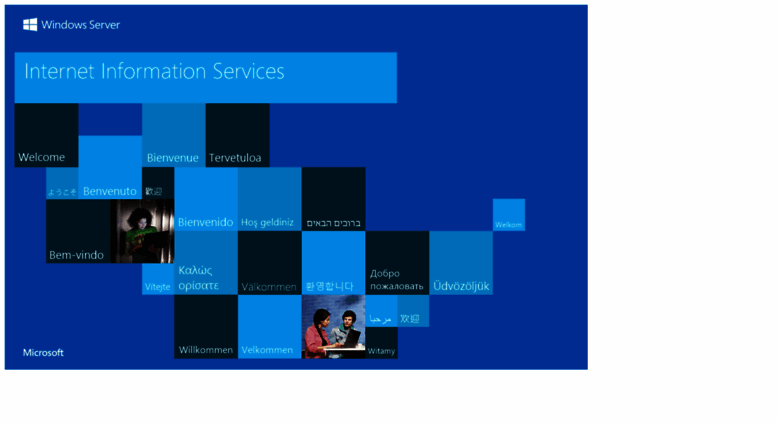 Access m.michiganbulb.com. Michigan Bulb Company | Shop Flower Bulbs ...