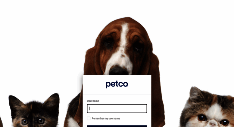 Access vetpoint.vetcoclinics.com. VetPoint Online Scheduling: Vetco’s ...