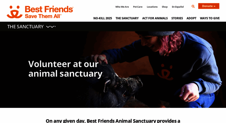 Access volunteer.bestfriends.org. Animal Volunteer Opportunities | Best ...